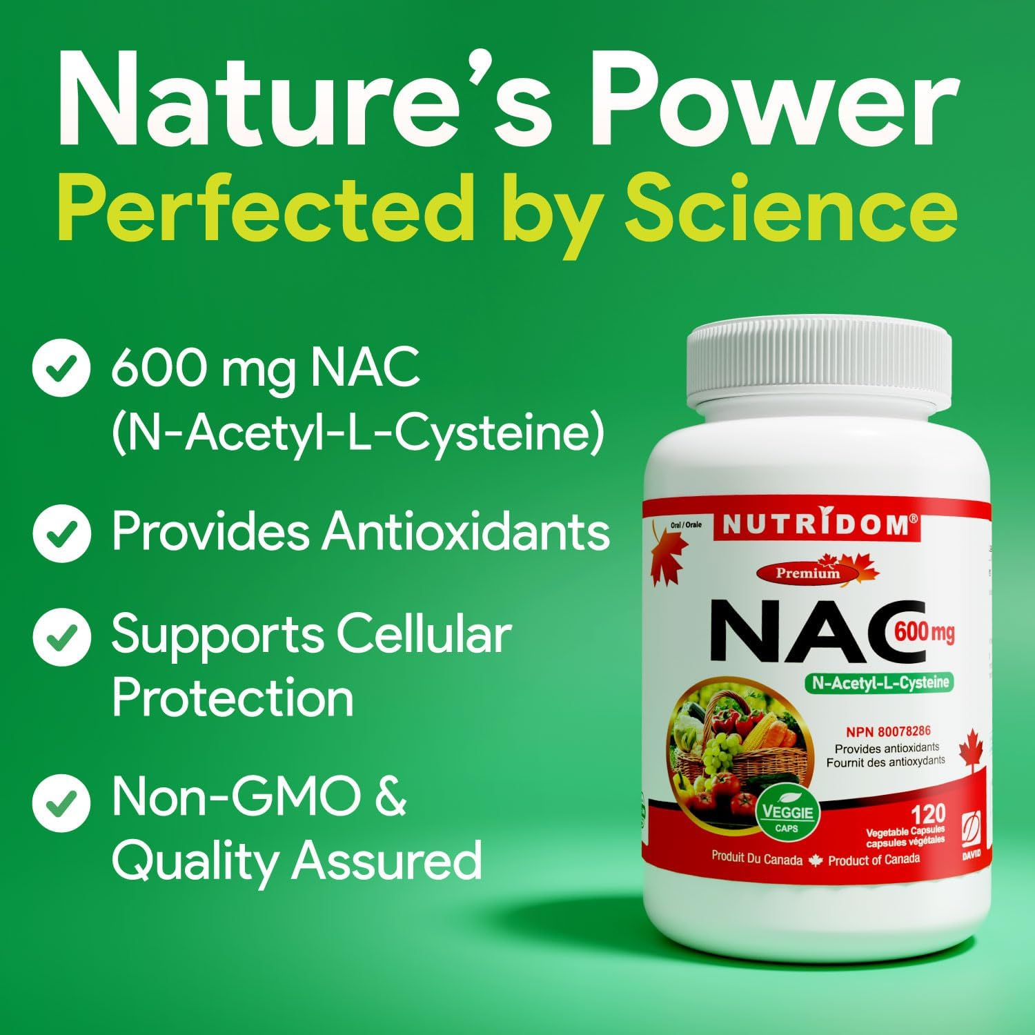 Nutridom NAC 600mg | Antioxidant & Detox Support | 120 Vcaps - 3 Pack