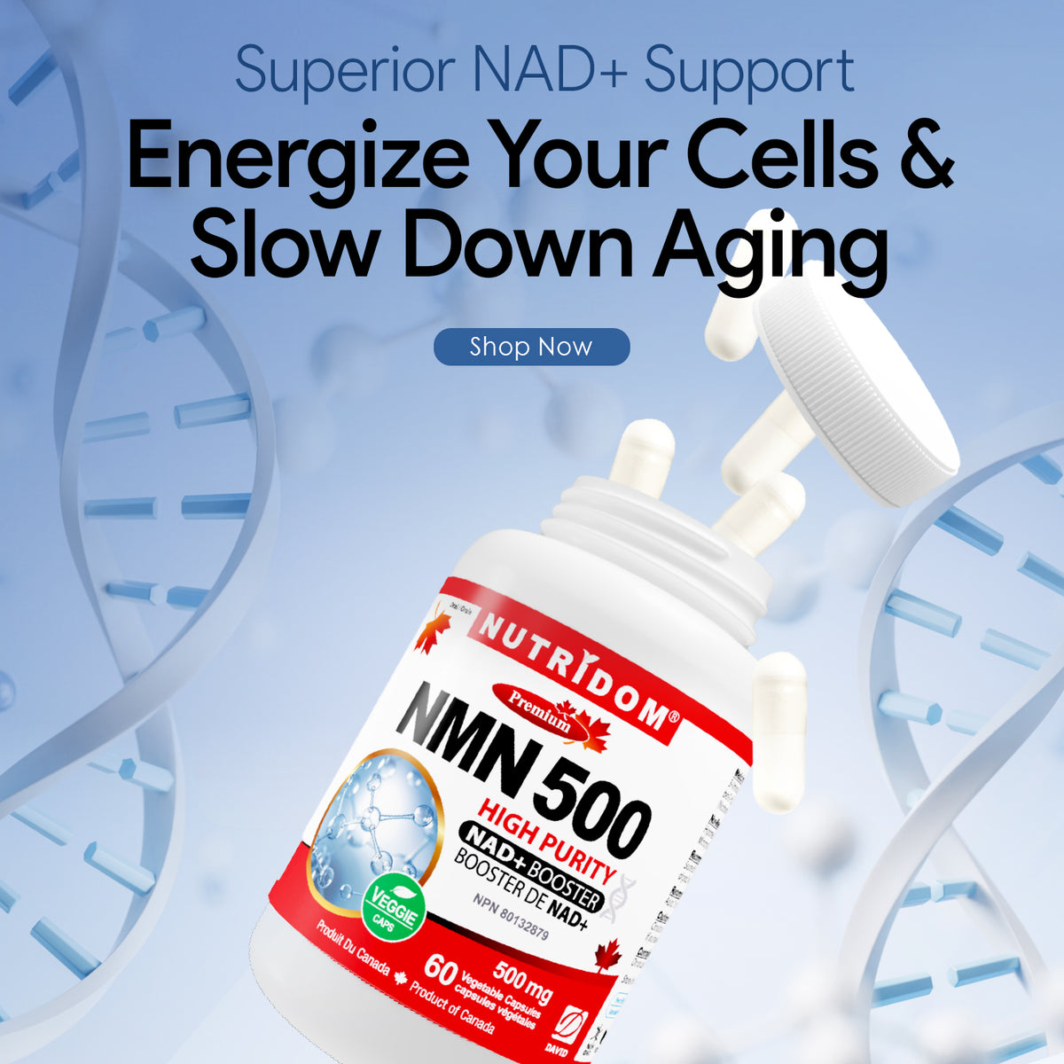 Premium Canadian Health Supplements | Science Led Wellness – Nutridom