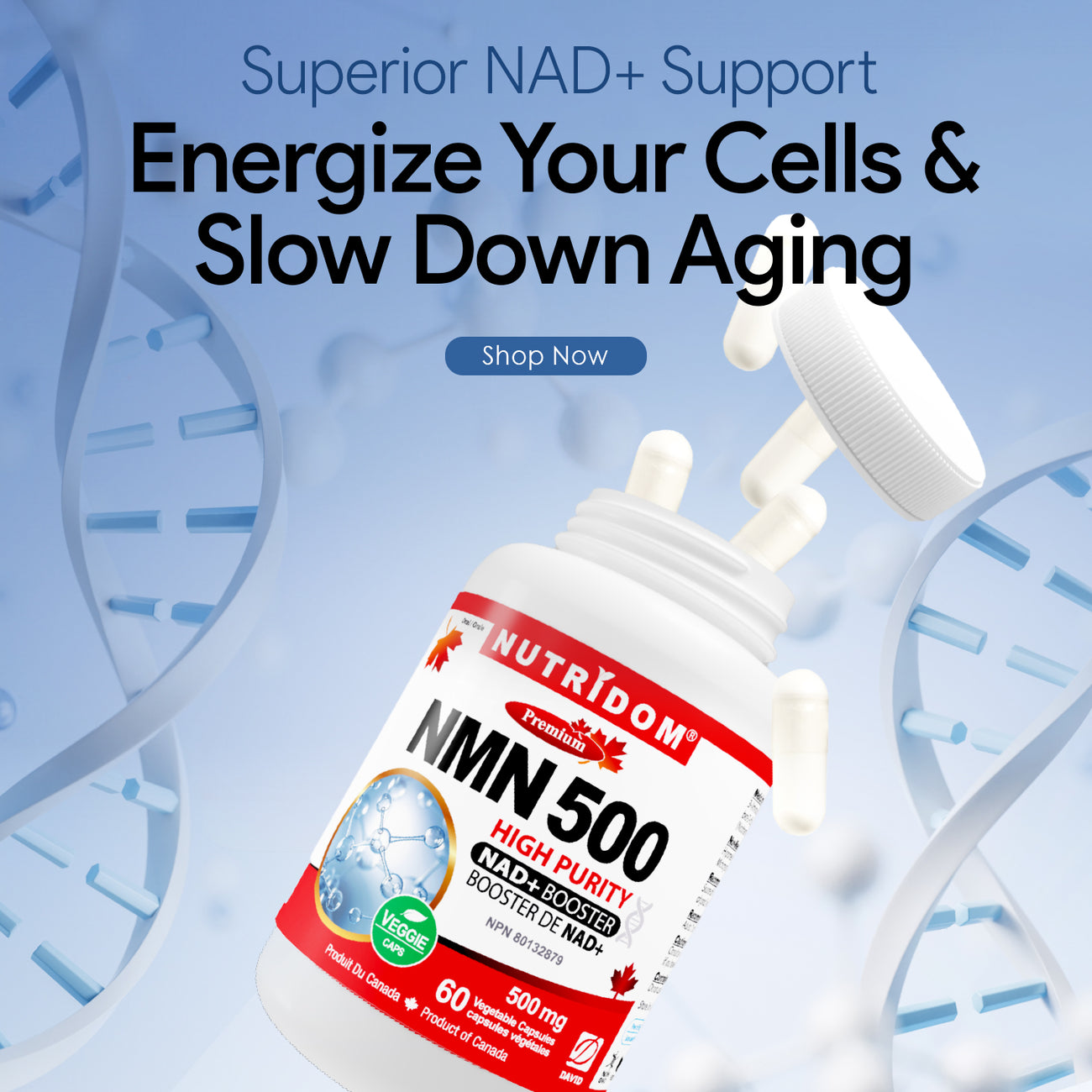 Premium Canadian Health Supplements | Science Led Wellness – Nutridom